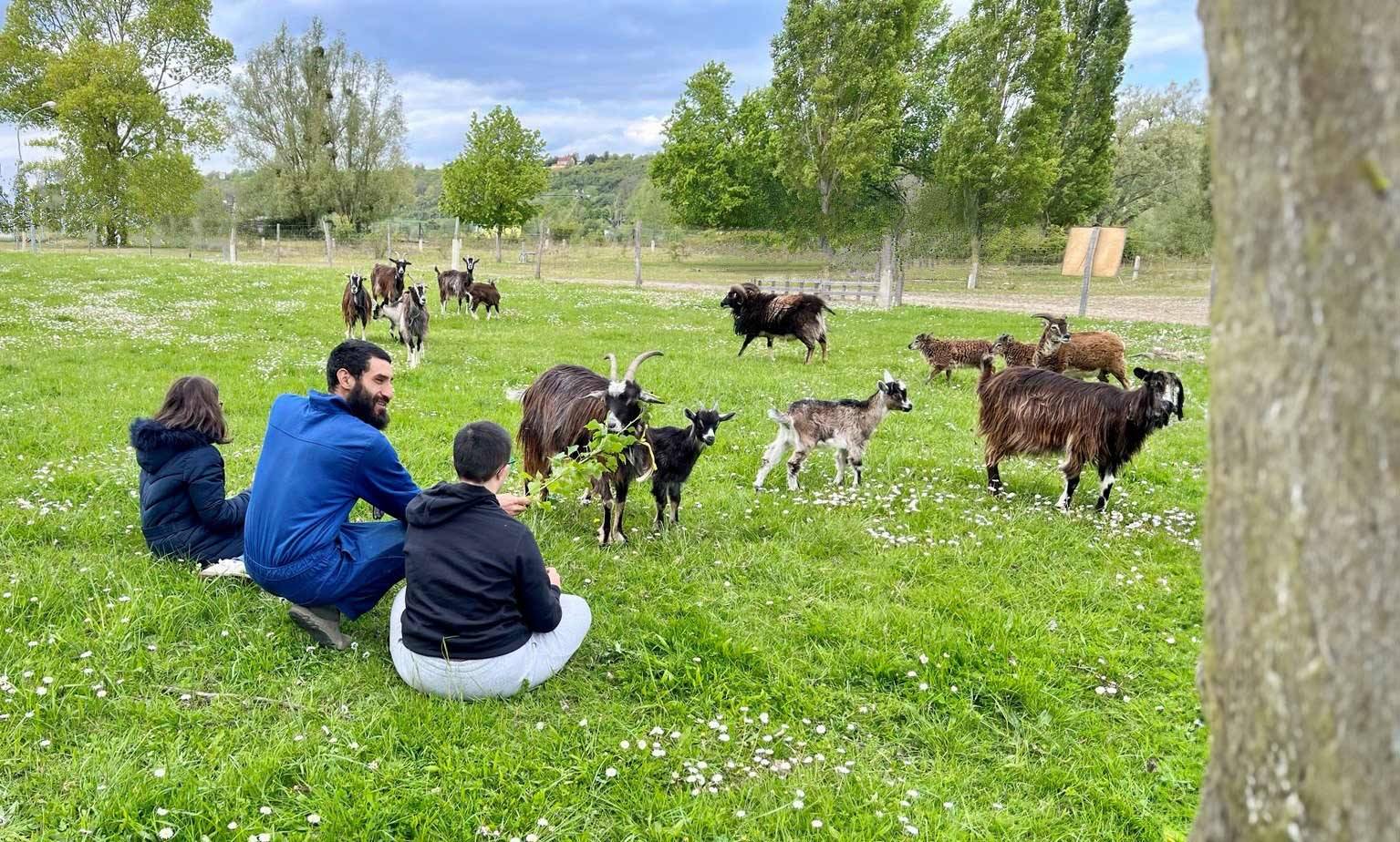 Vivez des vacances à la ferme proche de Paris