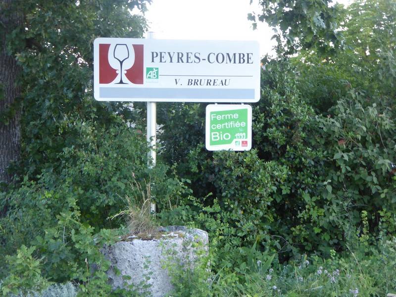 Activity « Peyres-Combe AB wines », DOMAINE DE PEYRES-COMBE, Andillac ...