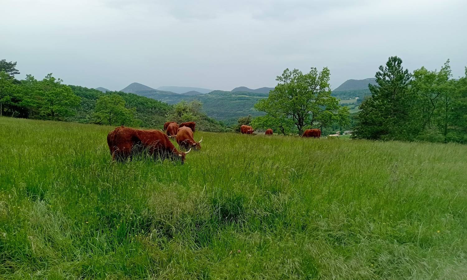 Activité « De la viande bio et locale ! », FERME DES HAUCHES, Truinas ...
