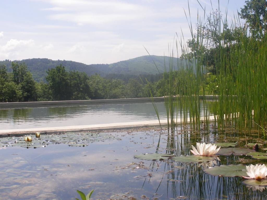 Tourist accommodation « Le Mazet », MAS DES BUISSIÈRES, ST BRES Gard ...