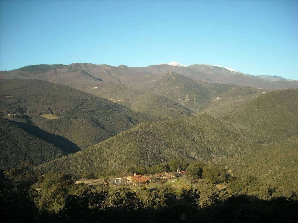 Mas Roque